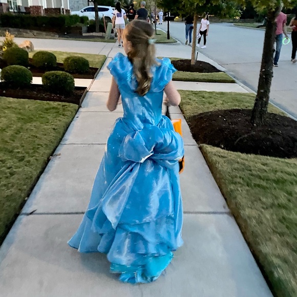 Costumes | Custom Cinderella Gown Costume With 3d Butterfly Details On ...